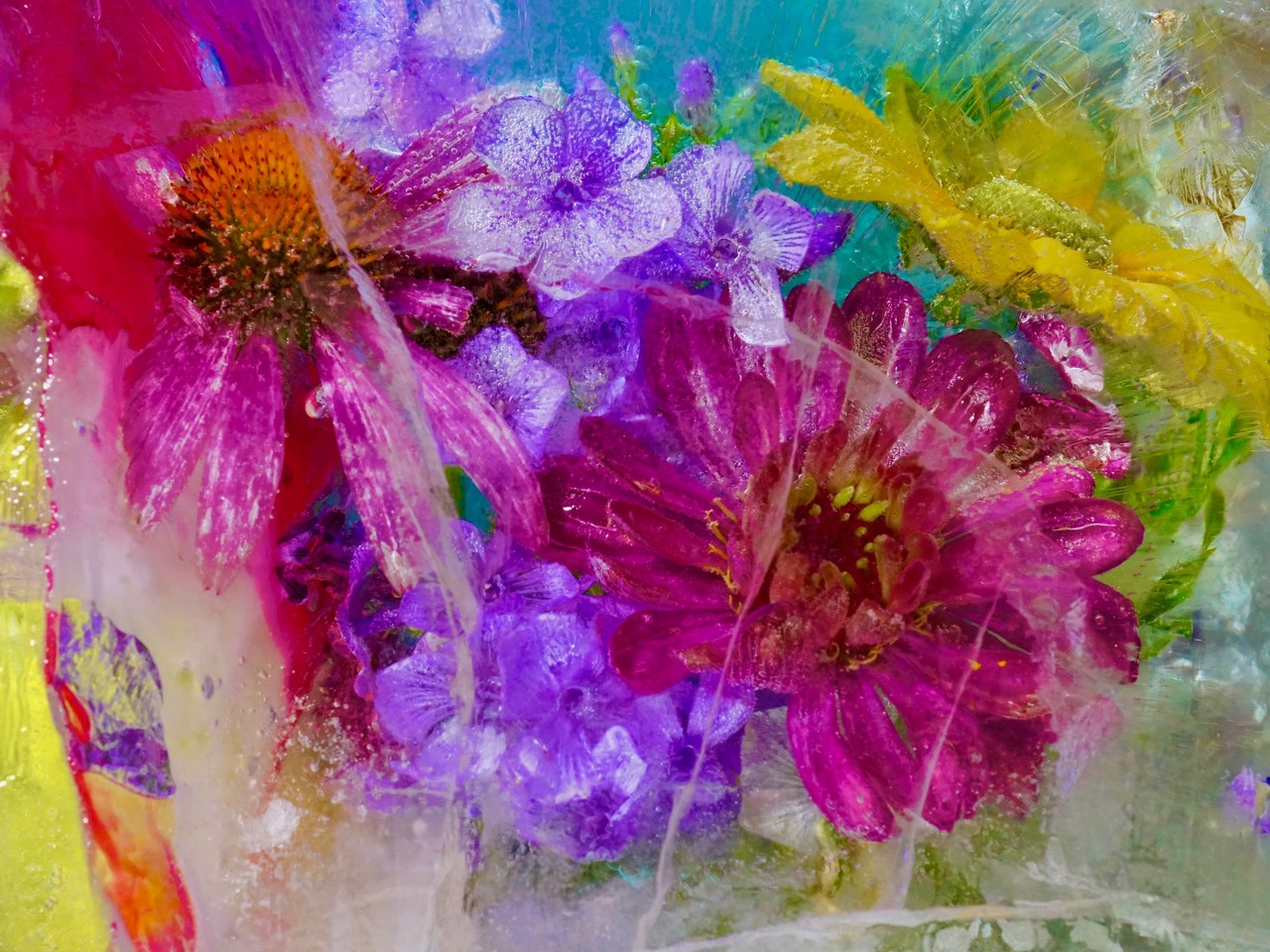 Meet the Artist: Anna Thurber - Art Business News